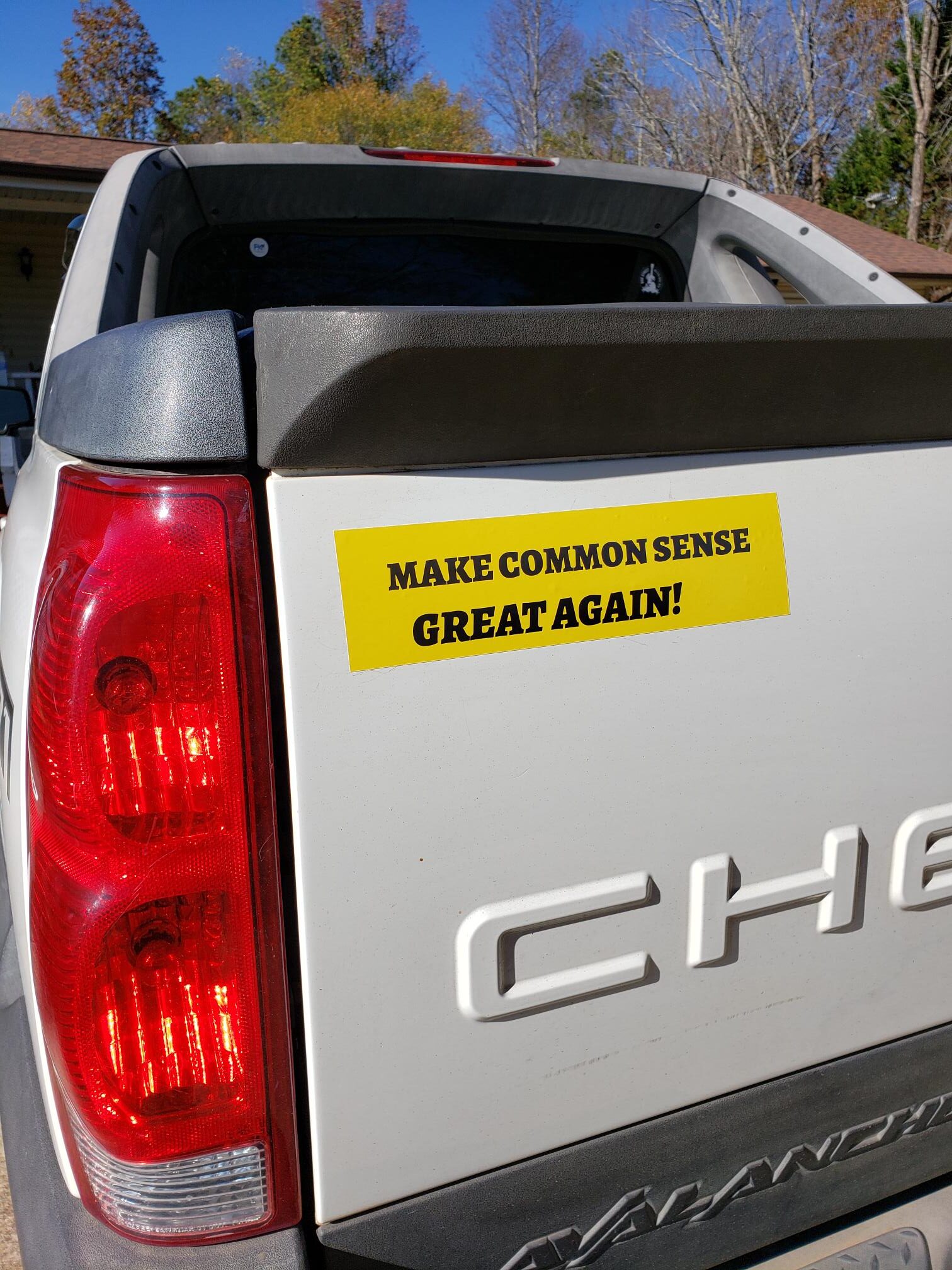 Sticker "Make Common Sense Great Again!"